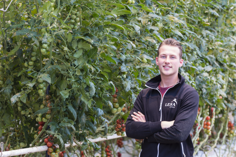 Приложение Natutec Scout | Koppert Россия