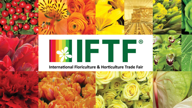 Выставка IFTF 2019 | Koppert Россия