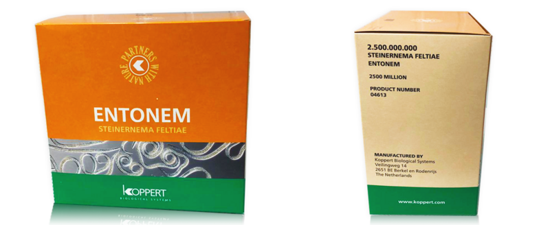 Нематоды - изменения к лучшему | Koppert Россия